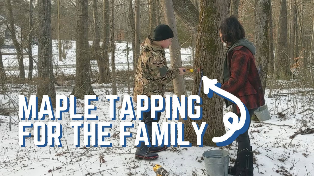 How to Tap Trees for Sap – Videos – Mother Earth News
